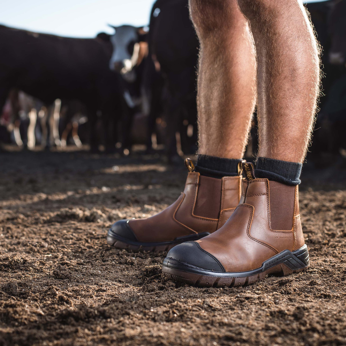 REBEL FX2 CHELSEA BOOT – Mr Farmer Workwear